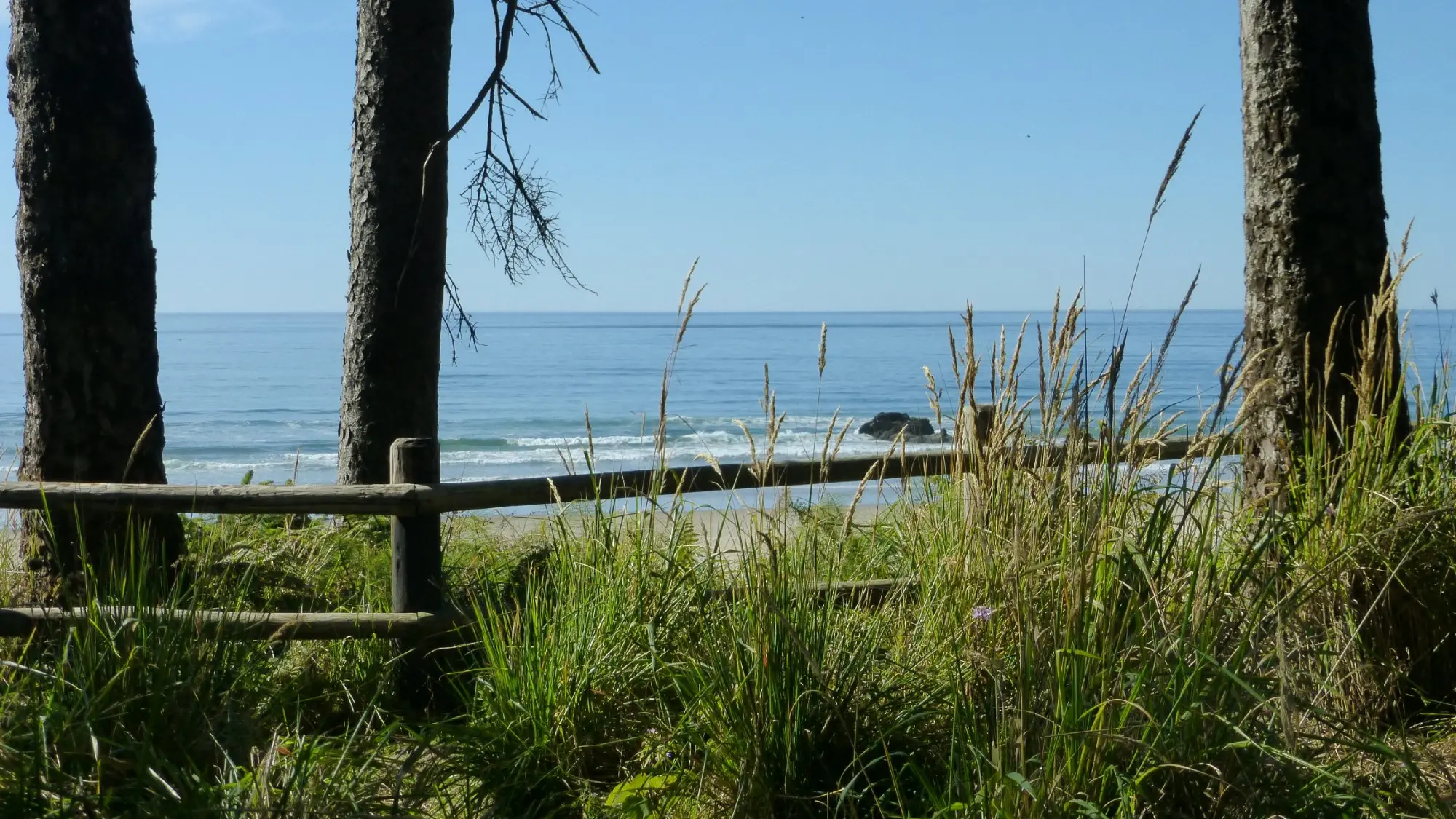 Arcadia Beach State Recreation Site | The Retreat at Cannon Beach